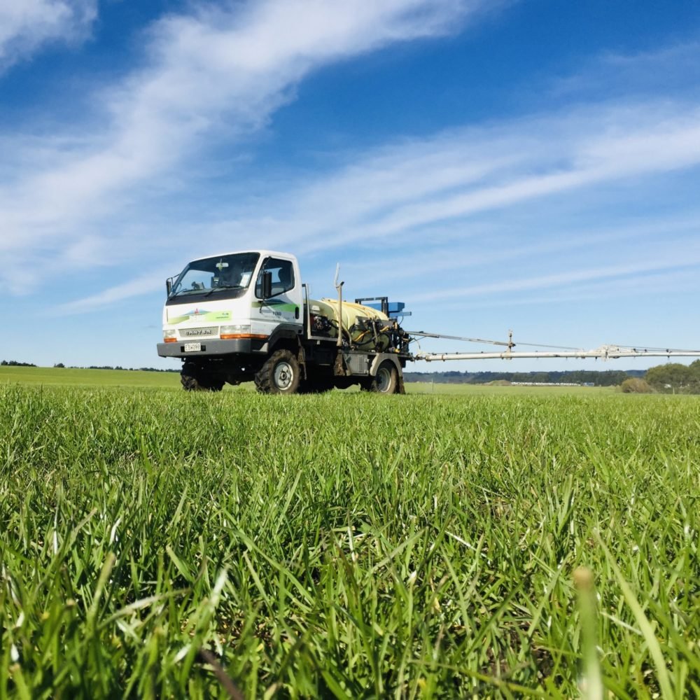 GIBB-GRO | Growth Enhancer | Dickie Direct